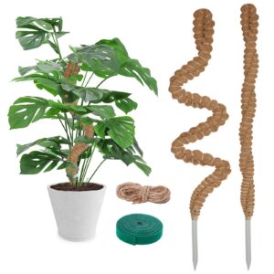 2 pack 25 inch coco coir moss poles for climbing indoor plants - handmade plant support for creepers to grow upwards