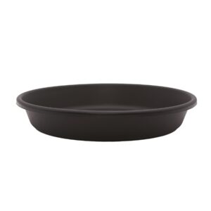 the hc companies 10 inch round plastic classic plant saucer - indoor outdoor plant trays for pots - 10.75"x10.75"x1.75" black