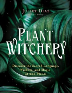 plant witchery: discover the sacred language, wisdom, and magic of 200 plants