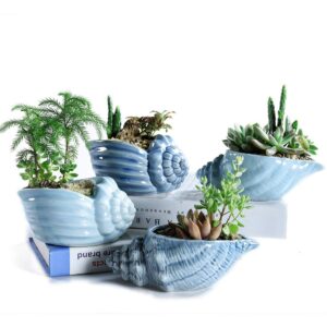 sun-e 5.5 inch blue conch ocean series ceramic base serial set succulent plant pot cactus plant pot flower pot container planter with drainage hole gift idea 4 in set(plants not included)