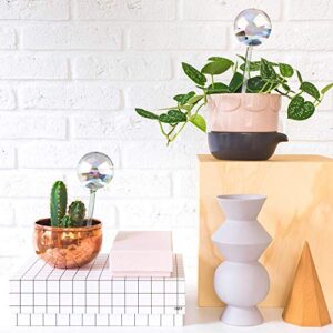 [2 PCS] Light Iridescent Rainbow Gradient Color Clear Glass Self-Watering System Spikes, Aqua Globes Automatic Plant Waterer Bulbs