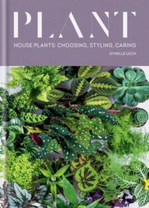 plant: house plants: choosing, styling, caring