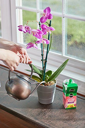 Miracle-Gro Water Soluble Orchid Food, Plant Fertilizer, 8 oz.