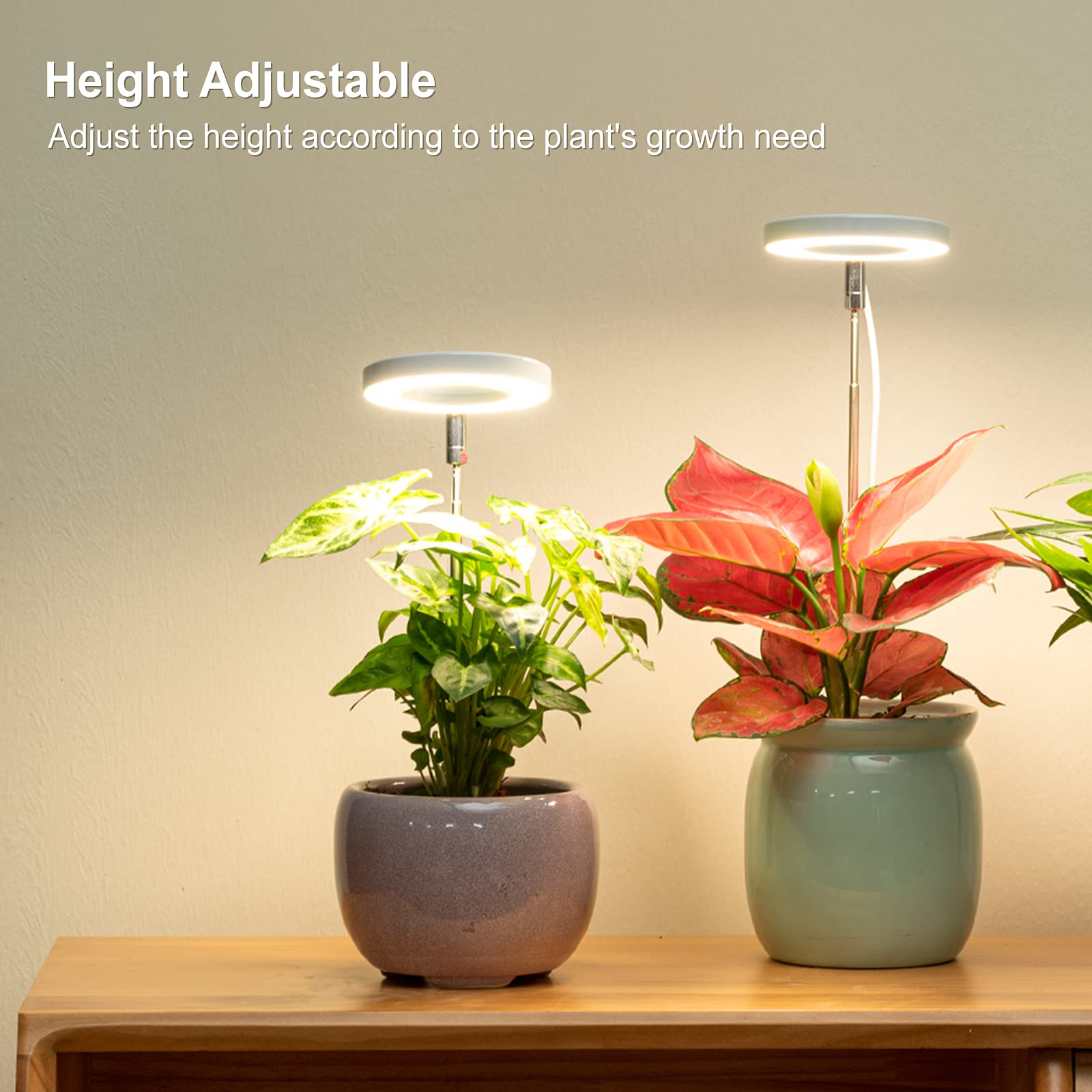 LORDEM Grow Light, Full Spectrum LED Plant light for Indoor Plants, Height Adjustable Growing Lamp with Auto On/Off Timer 4/8/12H, 4 Dimmable Brightness, Ideal for Small Plants