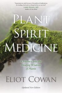 plant spirit medicine