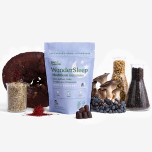 Plant People WonderSleep Mushroom Gummies Supplement for Sleep and Relaxation with Reishi Super Mushrooms, Wild Elderberry Flavor, No Sugar (60 Count)