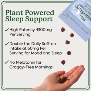 Plant People WonderSleep Mushroom Gummies Supplement for Sleep and Relaxation with Reishi Super Mushrooms, Wild Elderberry Flavor, No Sugar (60 Count)