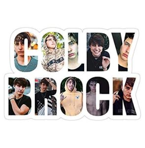 colby brock, introvert decal sticker