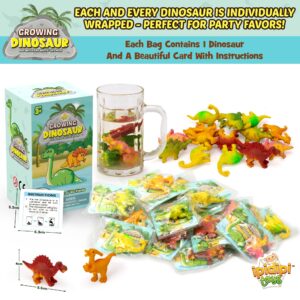 IPIDIPI TOYS Water Growing Dinosaur Toys for Kids - 30 Pack Dinosaur Party Favors for Kids, Goodie Bag Stuffers, Piñata Stuffers, School Prize Box Toys for Boys, Growing Animals in Water