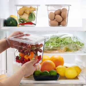 Sieral Clear 1/6 Size Food Pan Restaurant Containers with Lids Square Cambro Food Storage Polycarbonate Salad Bar Containers Commercial Hotel Pans for Kitchen Food Prep (10 Pcs, 6 Inch, 2 Quart)