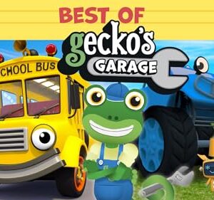 Best of Gecko's Garage