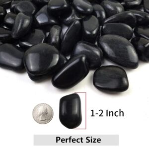 YISZM 2lbs Black Pebbles for Plants, 1-2 Inch High Polished Natural River Rocks for Landscaping, Decorative Stones Vase Filler Fish Tank Aquariums Garden Outdoor and Indoor DIY