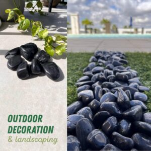 PGN Black River Rocks for Plants - 5 Pounds - Black Rocks with Smooth, Polished Surfaces - 1-3 Inch Stones for Planters, Aquarium Decorations, Vase, Fireplace, Landscaping, Outdoor Décor