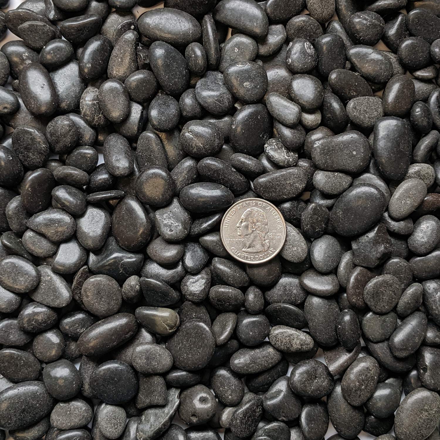 Midwest Hearth Natural Decorative Polished Black Pebbles 3/8" Gravel Size (2-lb Bag)