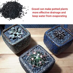 Avalution3 6-9 mm Natural Black Gravel 3LB, Polished Stone Succulent Plant Bonsai Stone DIY Plant Rock for Garden Outdoor & Indoor Vase Gravel Aquarium Fish Tank Fairy Gardening Filling Decoration