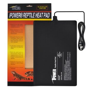 ipower 8 by 12-inch 16 watt reptile heat pad under tank terrarium heater heat mat for small animals