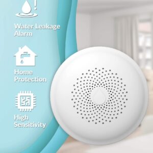 Ecoey Water Leak Detector (2.4G) , Water Sensor Alarm, Smart WiFi, Low Battery Warning, APP Alerts, Continuous Monitoring for Basement, Home,Battery Operated, 1 Pack