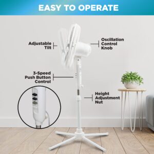 Comfort Zone Electric Oscillating Pedestal Fan, Stand Fan, 16 inch, 3 Speed, 90 Degree Oscillating Head, Adjustable Height and Tilt, Airflow 7.48 ft/sec, Ideal for Home, Bedroom & Office, CZST161BTE