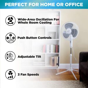 Comfort Zone Electric Oscillating Pedestal Fan, Stand Fan, 16 inch, 3 Speed, 90 Degree Oscillating Head, Adjustable Height and Tilt, Airflow 7.48 ft/sec, Ideal for Home, Bedroom & Office, CZST161BTE