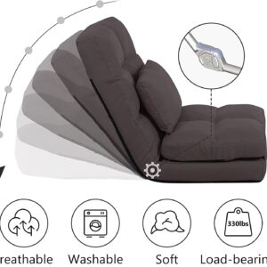 FLOGUOR Chaise Lounge Indoor, 14-Position Floor Chair with Back Support for Adults Kids, Folding Lazy Sofa Chair Lounge Chair with a Padded Pillow for Living Room, Bedroom, for Gaming Reading 8823CO