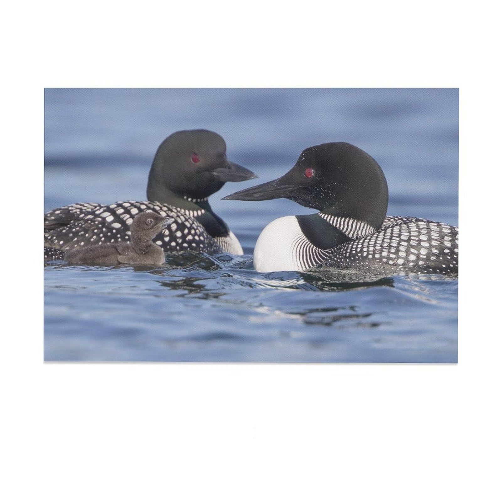 Common Loon Baby Bird Family Canvas Poster Bedroom Decor Sports Landscape Office Room Decor Gift,Canvas Poster Wall Art Decor Print Picture Paintings for Living Room Bedroom Decoration 12x18inch(30x45