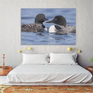 Common Loon Baby Bird Family Canvas Poster Bedroom Decor Sports Landscape Office Room Decor Gift,Canvas Poster Wall Art Decor Print Picture Paintings for Living Room Bedroom Decoration 12x18inch(30x45