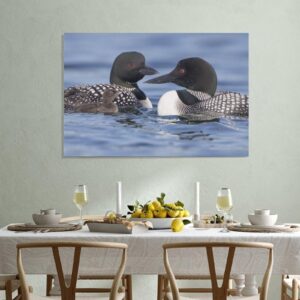 Common Loon Baby Bird Family Canvas Poster Bedroom Decor Sports Landscape Office Room Decor Gift,Canvas Poster Wall Art Decor Print Picture Paintings for Living Room Bedroom Decoration 12x18inch(30x45