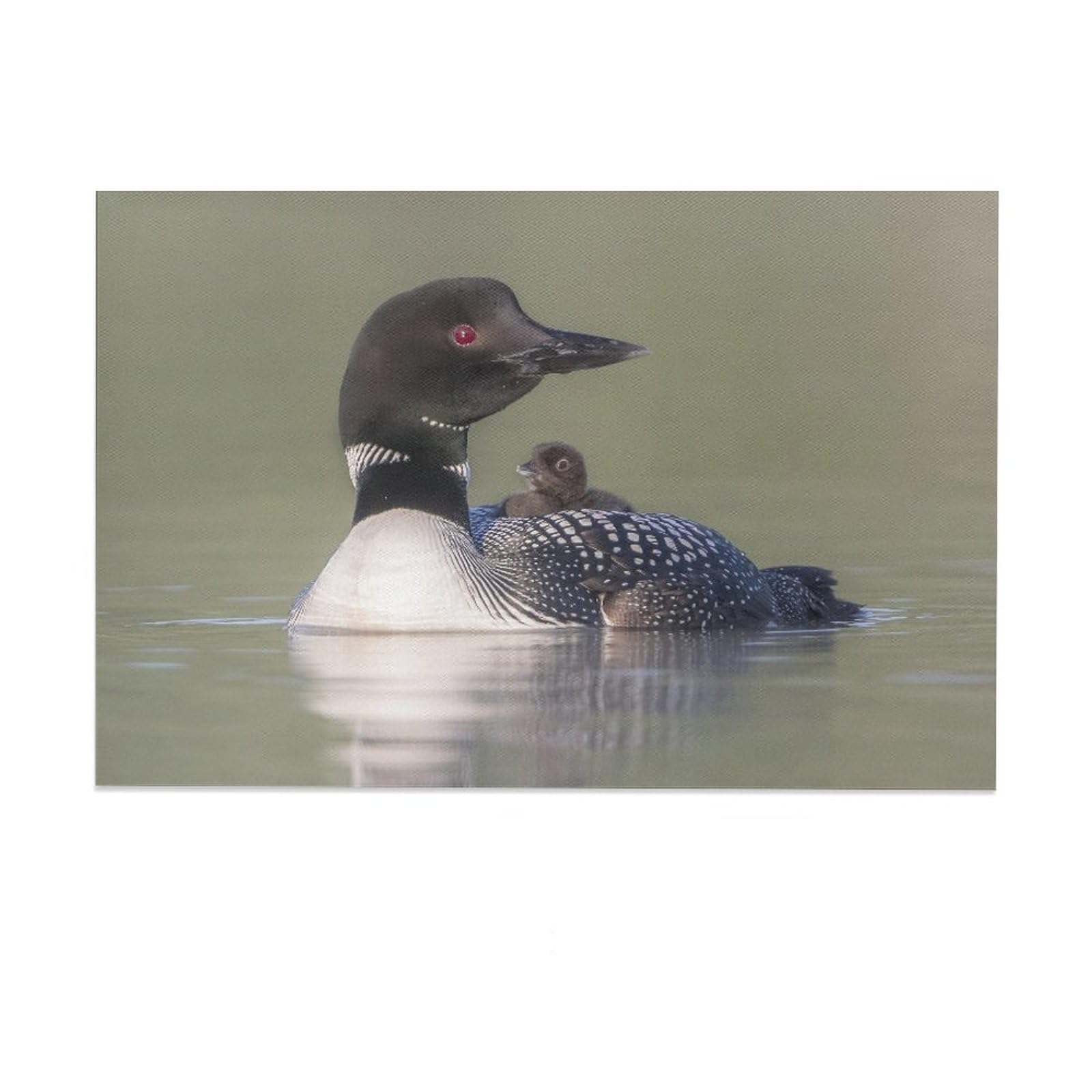 Common Loon And Baby Bird Canvas Poster Bedroom Decor Sports Landscape Office Room Decor Gift,Canvas Poster Wall Art Decor Print Picture Paintings for Living Room Bedroom Decoration 08x12inch(20x30cm)