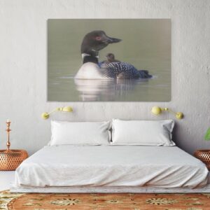 Common Loon And Baby Bird Canvas Poster Bedroom Decor Sports Landscape Office Room Decor Gift,Canvas Poster Wall Art Decor Print Picture Paintings for Living Room Bedroom Decoration 08x12inch(20x30cm)