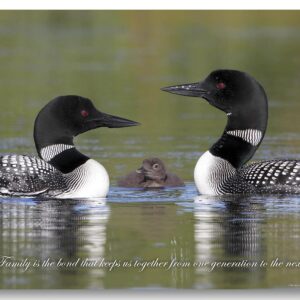 Common Loon Family Motivational Inspirational Poster Art Print Reproduction 11x14 Call Wall Decor Pictures