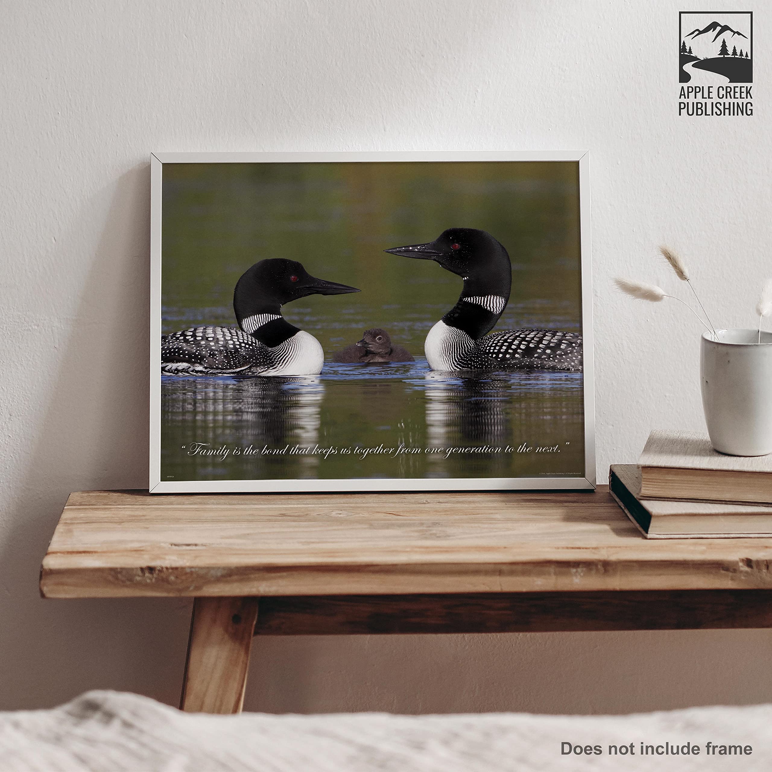 Common Loon Family Motivational Inspirational Poster Art Print Reproduction 11x14 Call Wall Decor Pictures