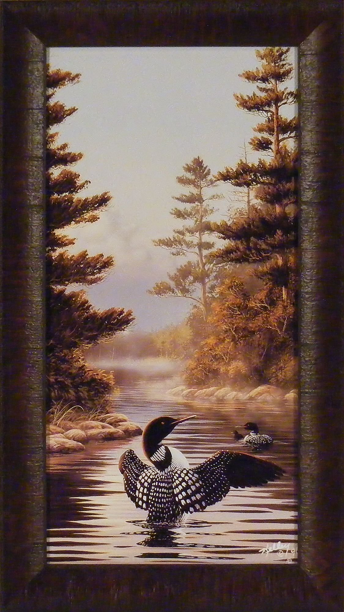 Flapping Wings by Rick Kelley 13x23 Loons Lake Birds Framed Art Print Wall Décor Picture