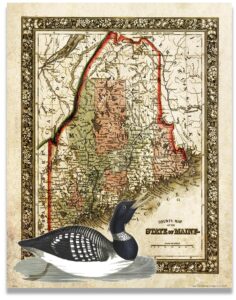 apple creek maine state map common loon call decoy poster art print 11x14 cabin wall decor pictures