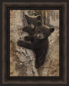 curious cubs by collin bogle 16x20 black bear babies sitting in tree framed art print wall décor picture