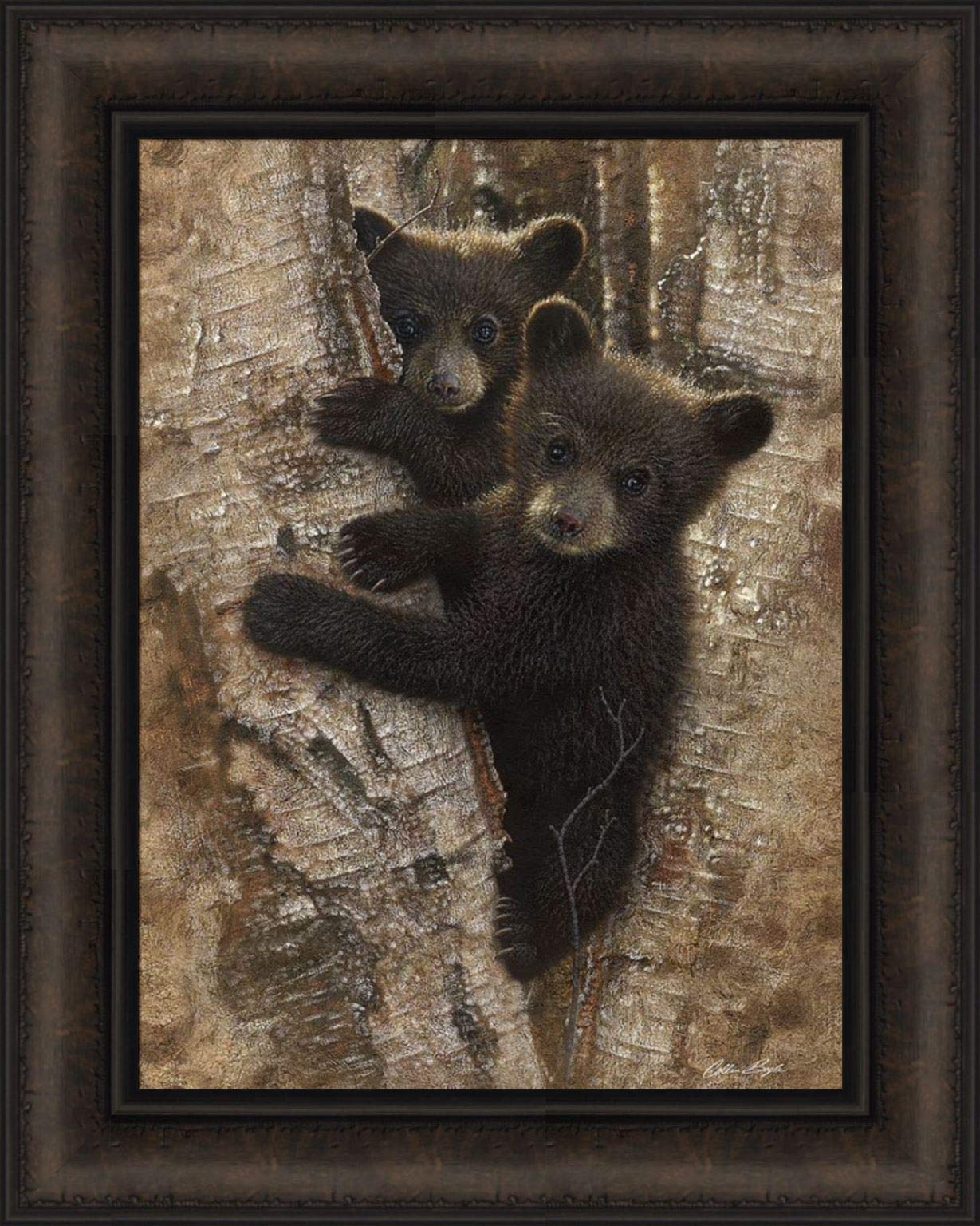 Curious Cubs by Collin Bogle 16x20 Black Bear Babies Sitting in Tree Framed Art Print Wall Décor Picture