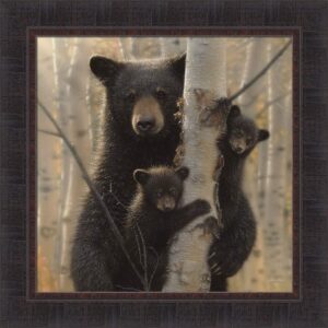 home cabin décor mama bear & cubs by collin bogle 23x23 black bear baby cubs in birch tree framed art print picture