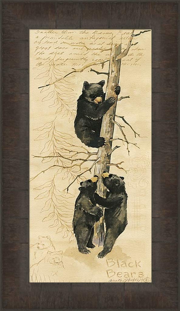 Black Bears by Anita Phillips 11x19 Bear Climbing Tree Wildlife Nature Framed Art Print Wall Décor Picture