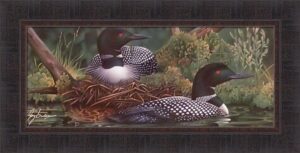 morning stillness by jerry gadamus 14x28 nesting loons wildlife framed art print wall décor picture signed and numbered limited edition