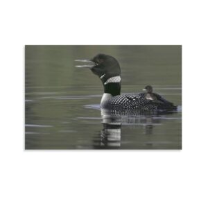 common loon with chick on water back call picture poster wall decoration poster in kamloops, british canvas painting wall art poster for bedroom living room decor 08x12inch(20x30cm) unframe-style