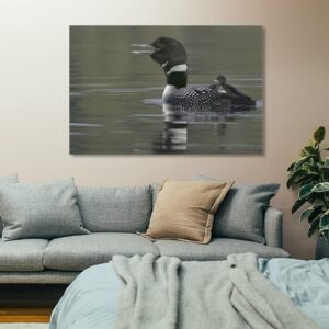 Common Loon with Chick on Water Back Call Picture Poster Wall Decoration Poster in Kamloops, British Canvas Painting Wall Art Poster for Bedroom Living Room Decor 08x12inch(20x30cm) Unframe-style