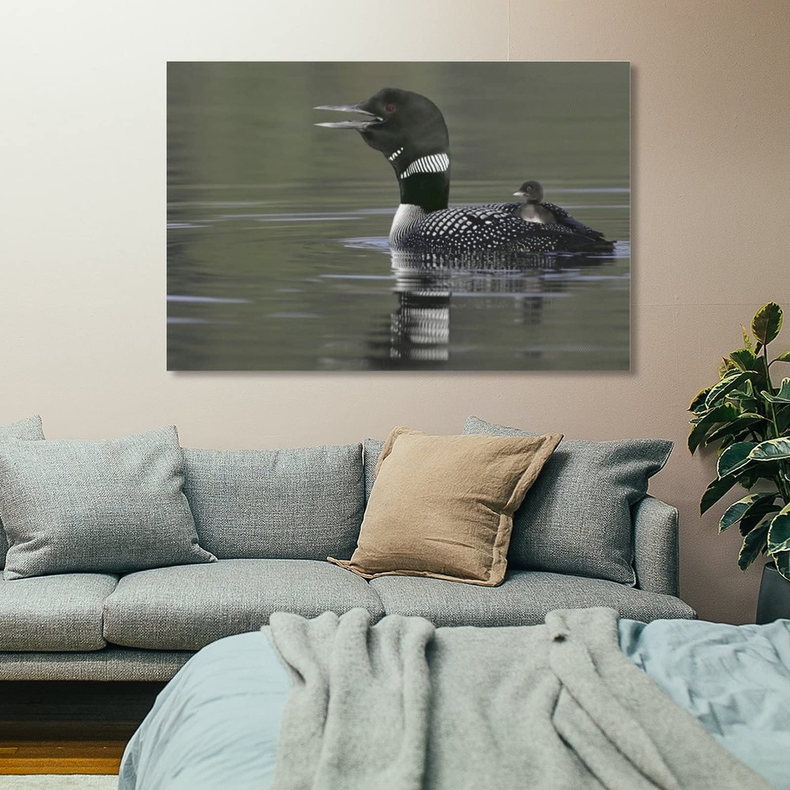 Common Loon with Chick on Water Back Call Picture Poster Wall Decoration Poster in Kamloops, British Canvas Painting Wall Art Poster for Bedroom Living Room Decor 08x12inch(20x30cm) Unframe-style