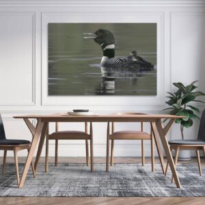 Common Loon with Chick on Water Back Call Picture Poster Wall Decoration Poster in Kamloops, British Canvas Painting Wall Art Poster for Bedroom Living Room Decor 08x12inch(20x30cm) Unframe-style