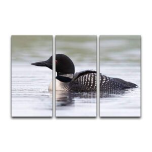 naenrfercx 3 panels wall art pictures common loon swimming on a lake in summer modern canvas print paintings artwork framed posters for office home decor ready to hang, 16x32inch