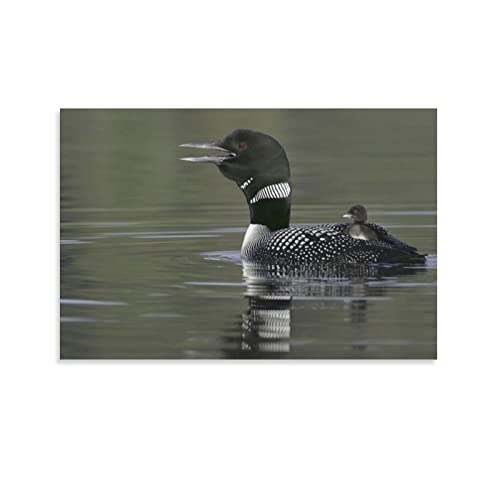 Common Loon with Chick on Water Back Call Picture Poster Wall Decoration Poster in Kamloops, British Canvas Painting Wall Art Poster for Bedroom Living Room Decor 12x18inch(30x45cm) Unframe-style