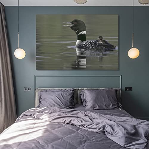 Common Loon with Chick on Water Back Call Picture Poster Wall Decoration Poster in Kamloops, British Canvas Painting Wall Art Poster for Bedroom Living Room Decor 12x18inch(30x45cm) Unframe-style