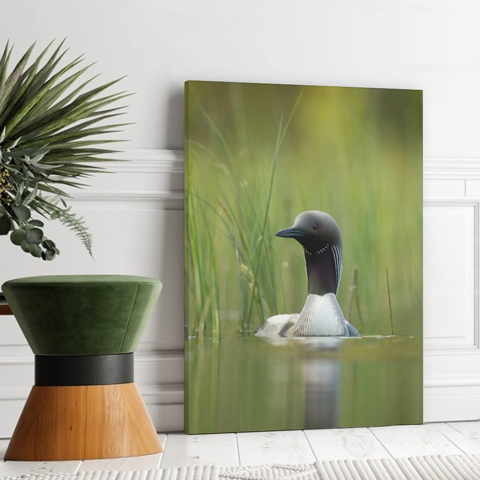 Black Throated Loon Birds Canvas Poster Bedroom Decor Sports Landscape Office Room Decor Gift,Canvas Poster Wall Art Decor Print Picture Paintings for Living Room Bedroom Decoration 8x12inchs(20x30cm)