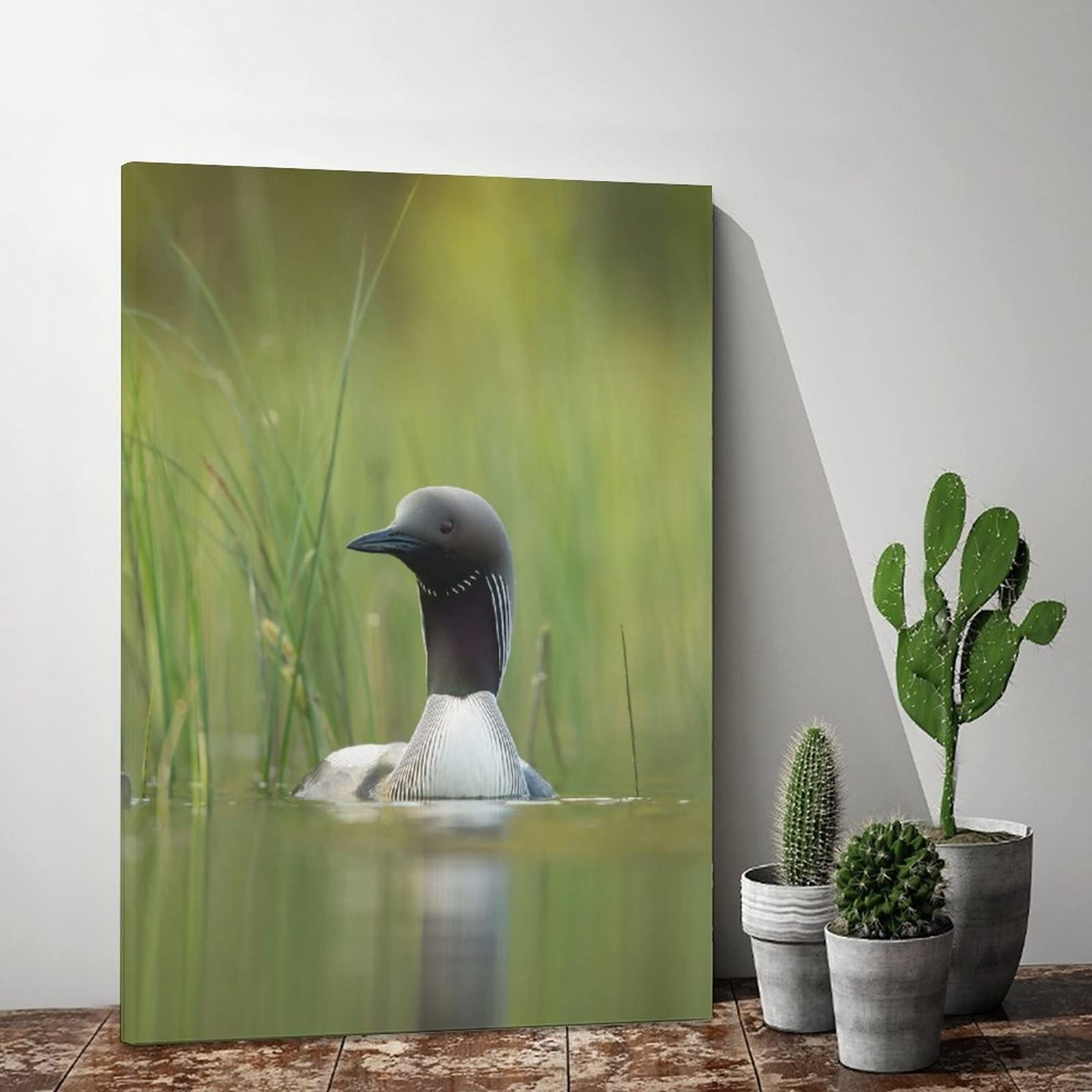 Black Throated Loon Birds Canvas Poster Bedroom Decor Sports Landscape Office Room Decor Gift,Canvas Poster Wall Art Decor Print Picture Paintings for Living Room Bedroom Decoration 8x12inchs(20x30cm)