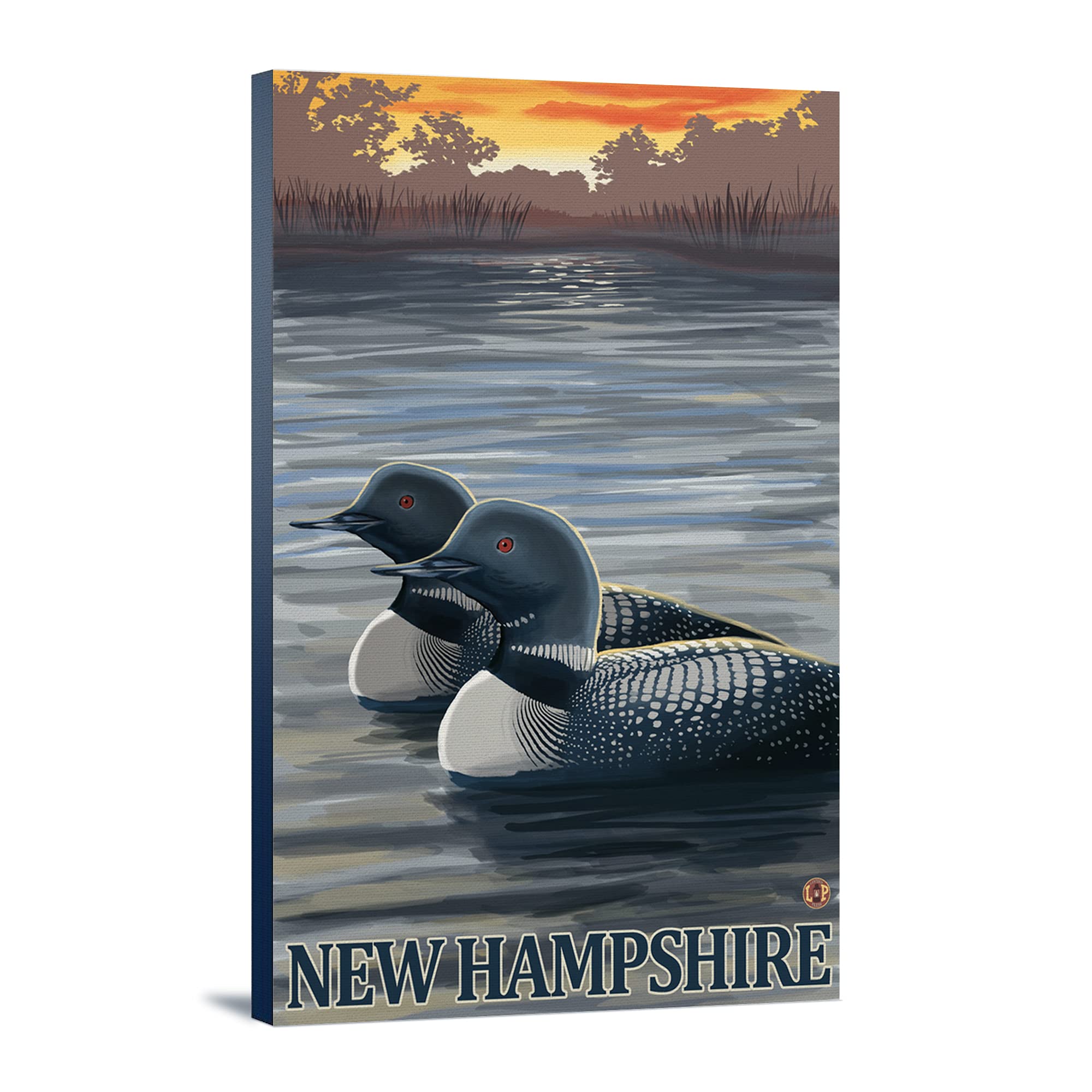 Lantern Press New Hampshire, Common Loon, (24x36 Wrapped Canvas, Wall Decor, Artwork)