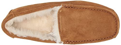 Koolaburra by UGG mens Tipton Slipper, Chestnut, 13 US