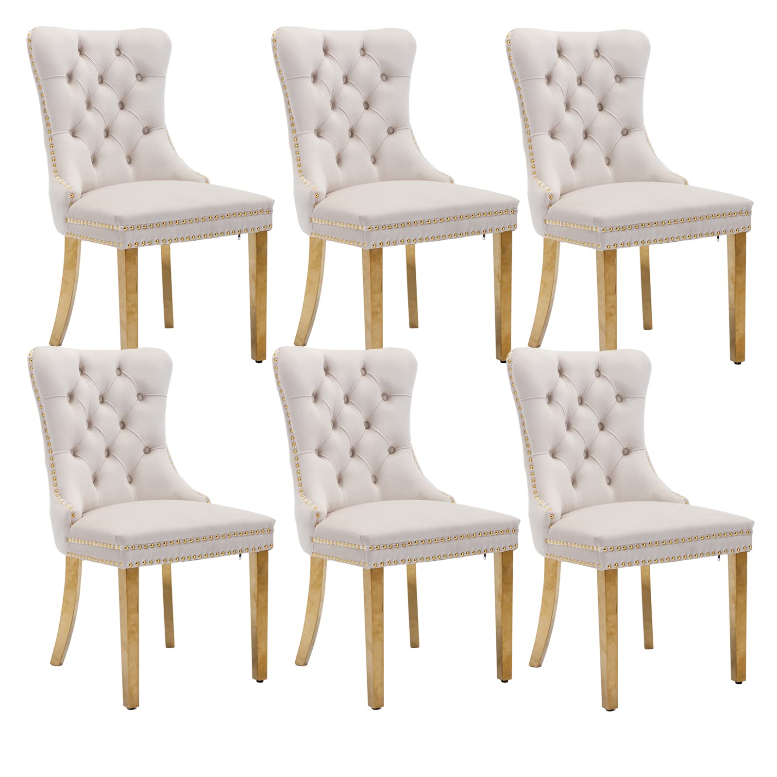 Shenyon Beige Velvet Dining Chairs Set of 6, Upholstered Dining Room Chairs with Back Ring Pull Trim and Golden Stainless Steel Legs,Modern Kitchen Chairs for Dining Room,Living Room,Kitchen(Beige)